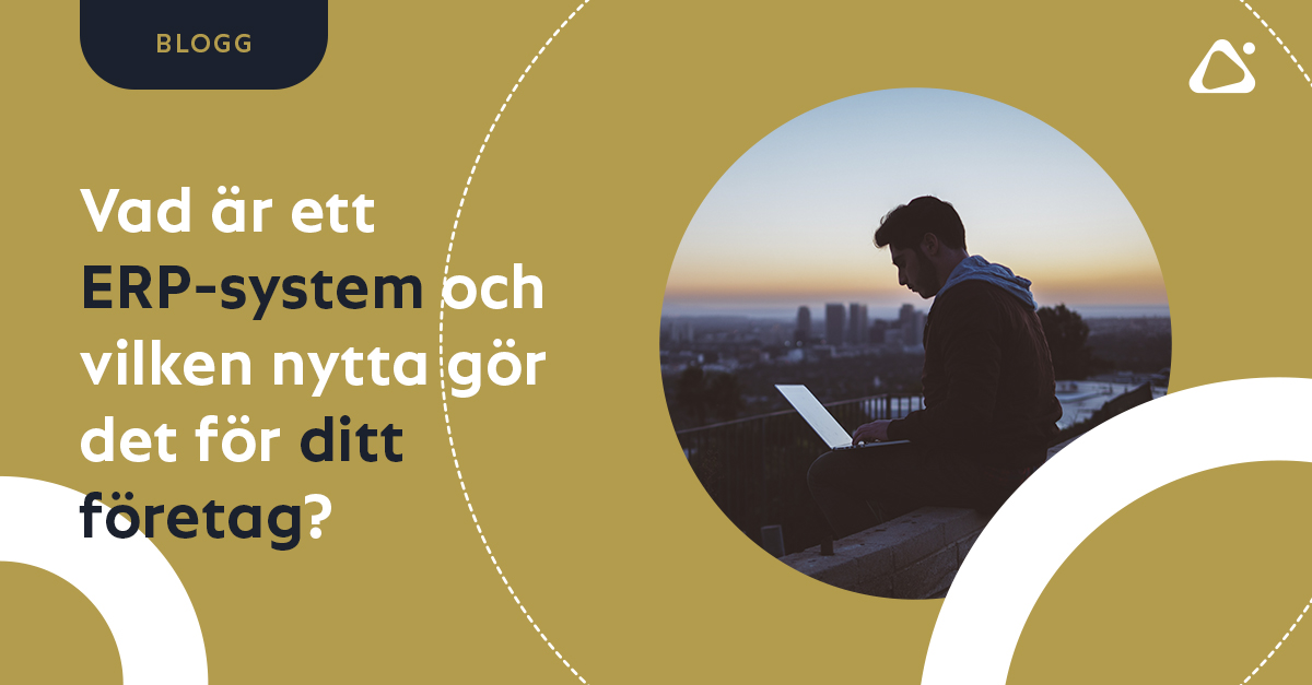 Vad är ett ERP-system och vilken nytta gör det för ditt företag ...