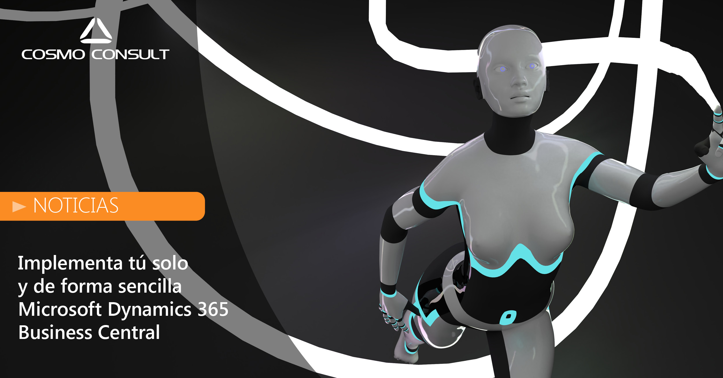Implementa tú solo y de forma sencilla Microsoft Dynamics 365 Business ...