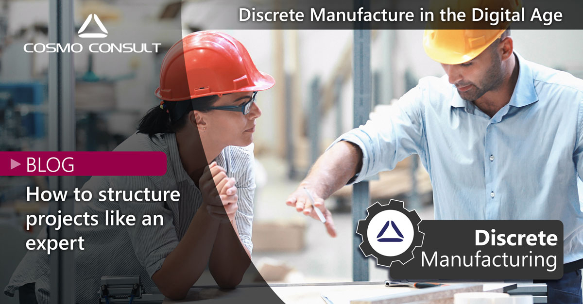 How to structure projects like an expert | COSMO CONSULT