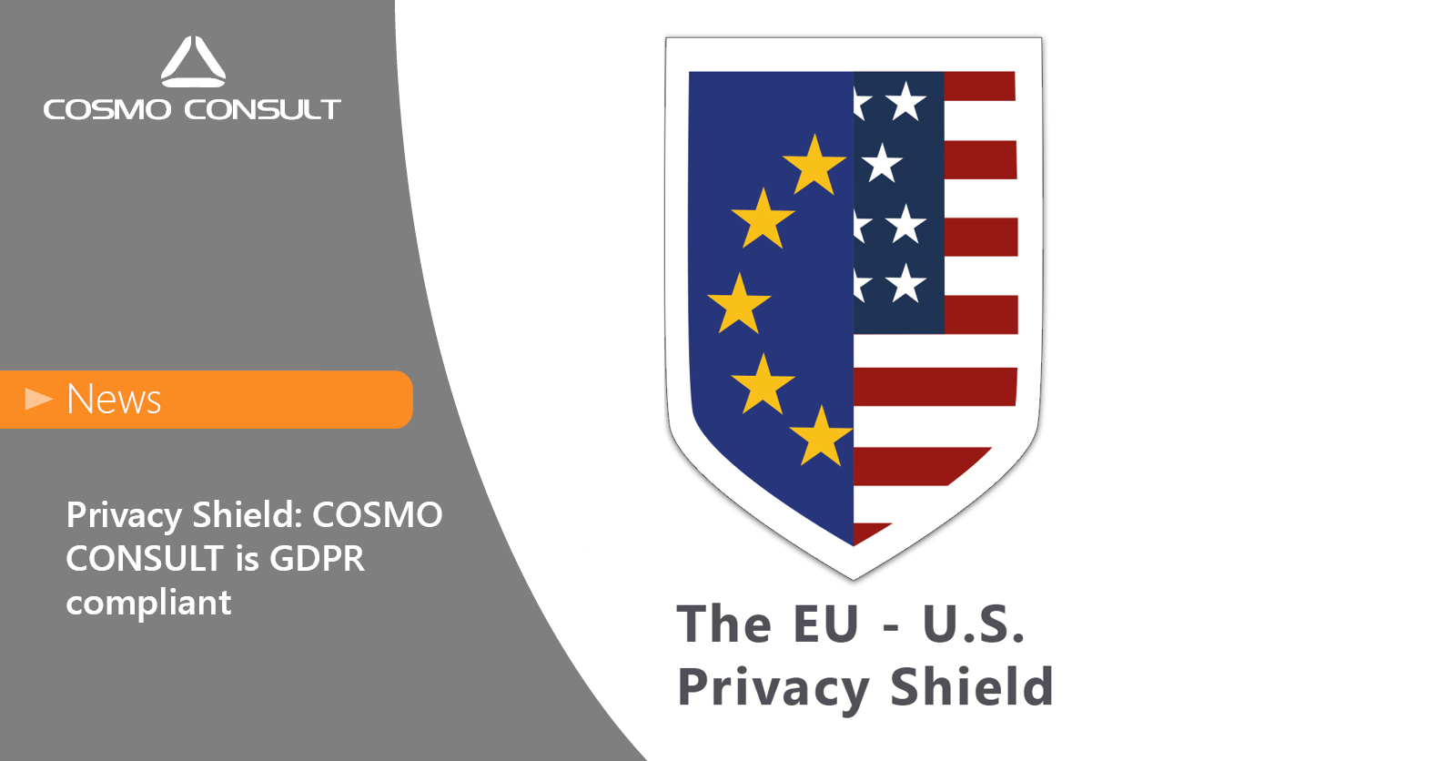 Privacy Shield Logo Privacy Protection Icon For Web Design And