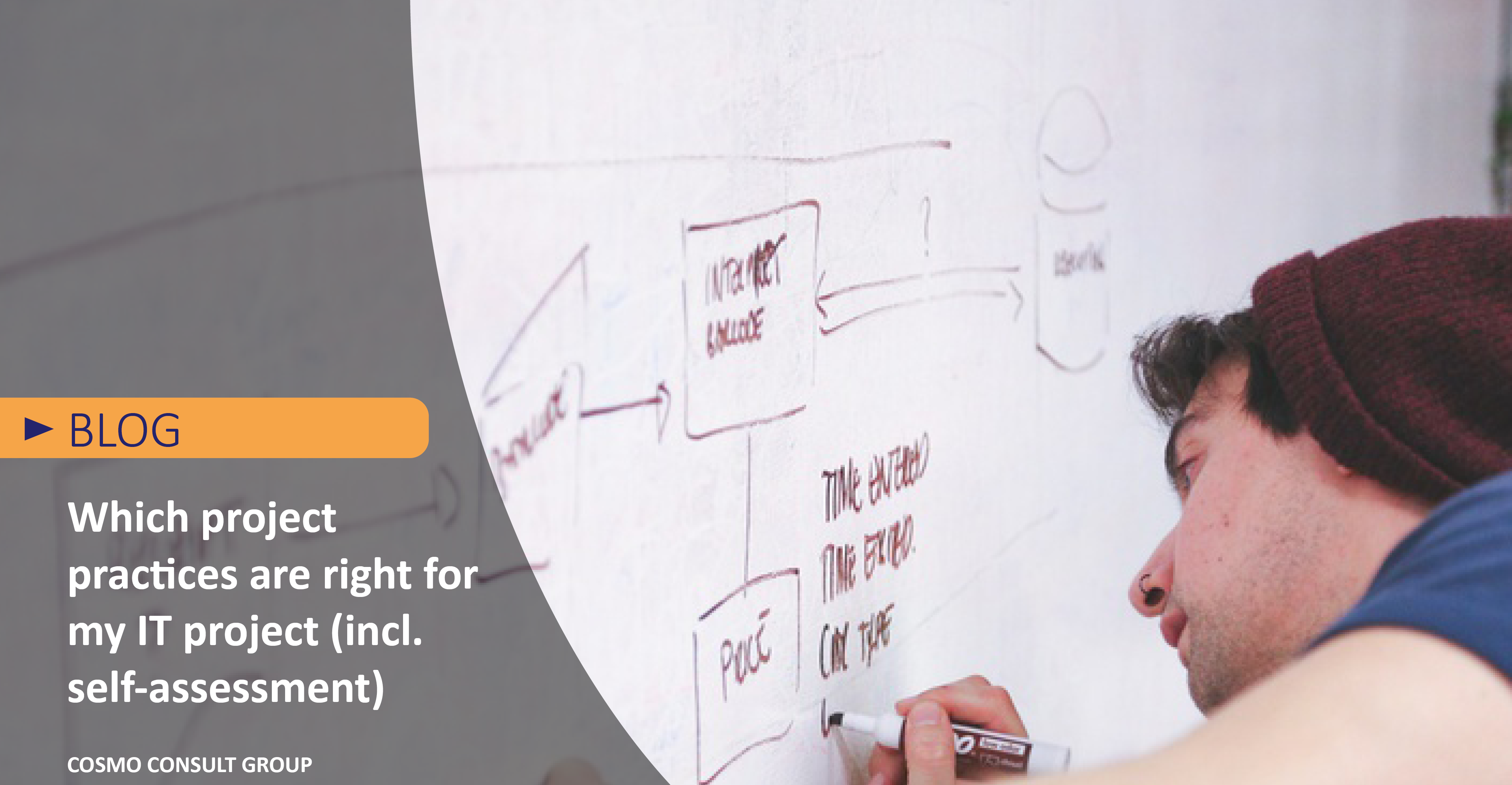 Which project practices are right for my IT project? (incl. self-assessment) | COSMO CONSULT