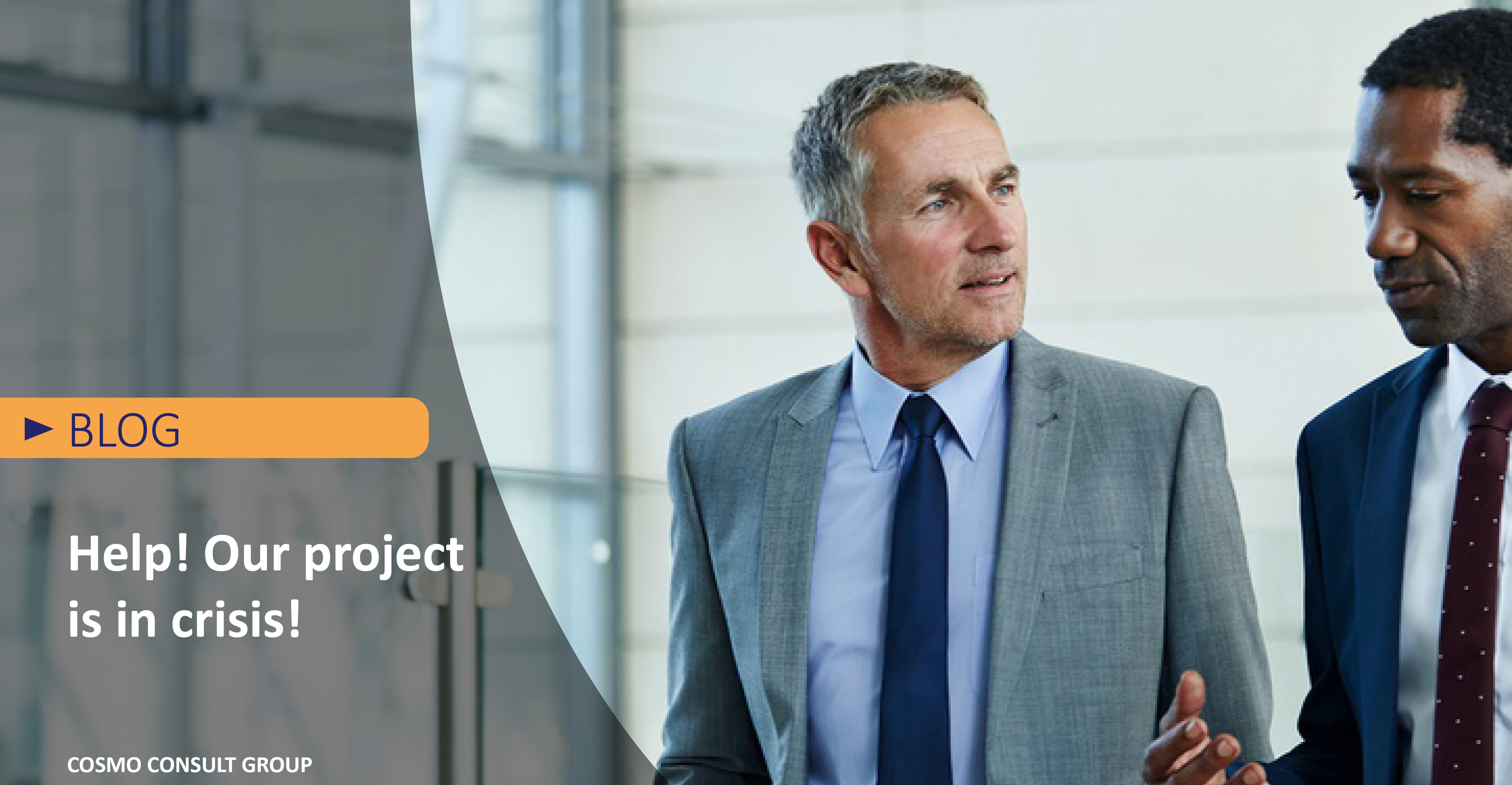 Help! Our project is in crisis! | COSMO CONSULT