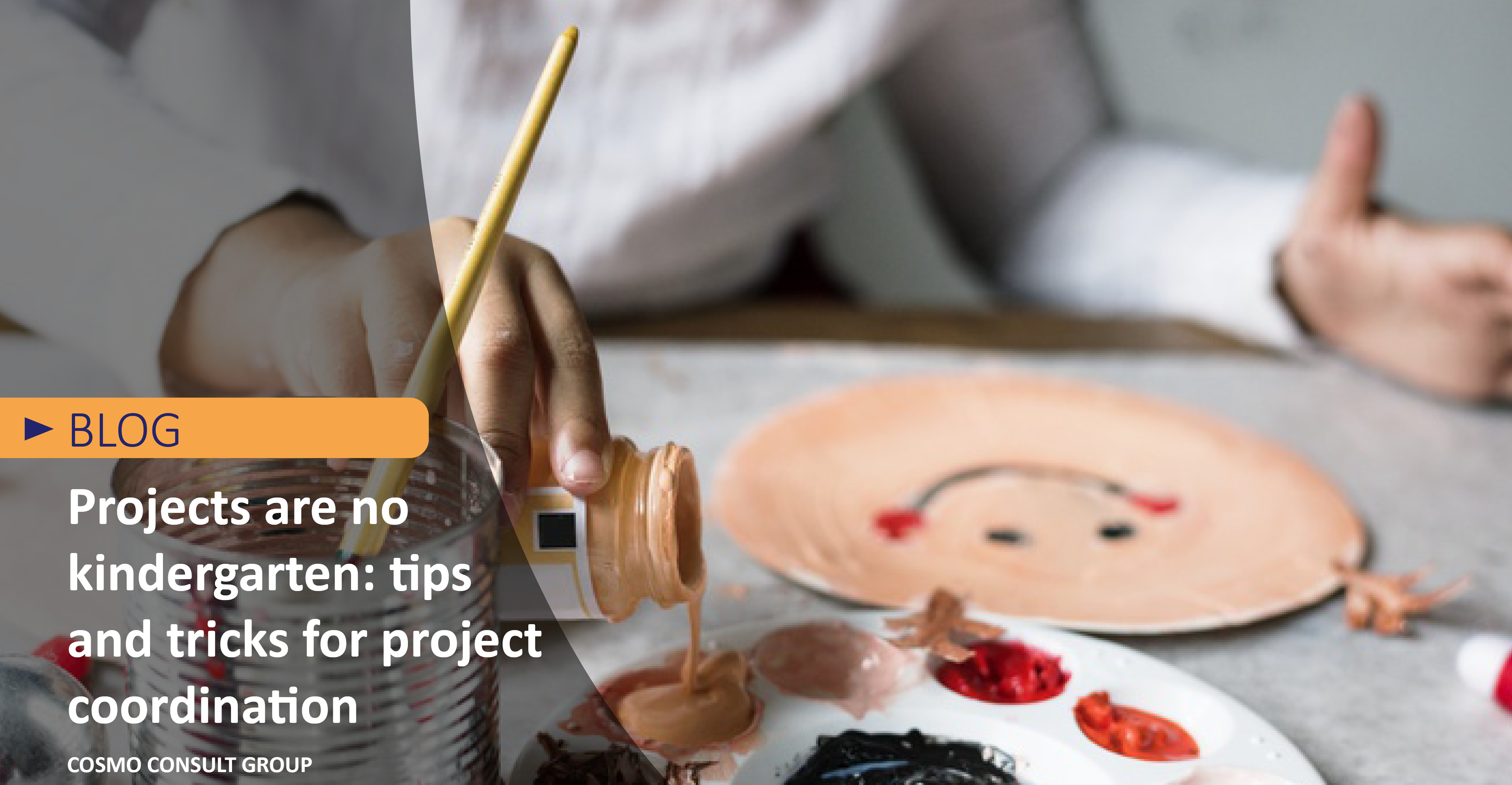Projects are not kindergarten: tips and tricks for project coordination ...