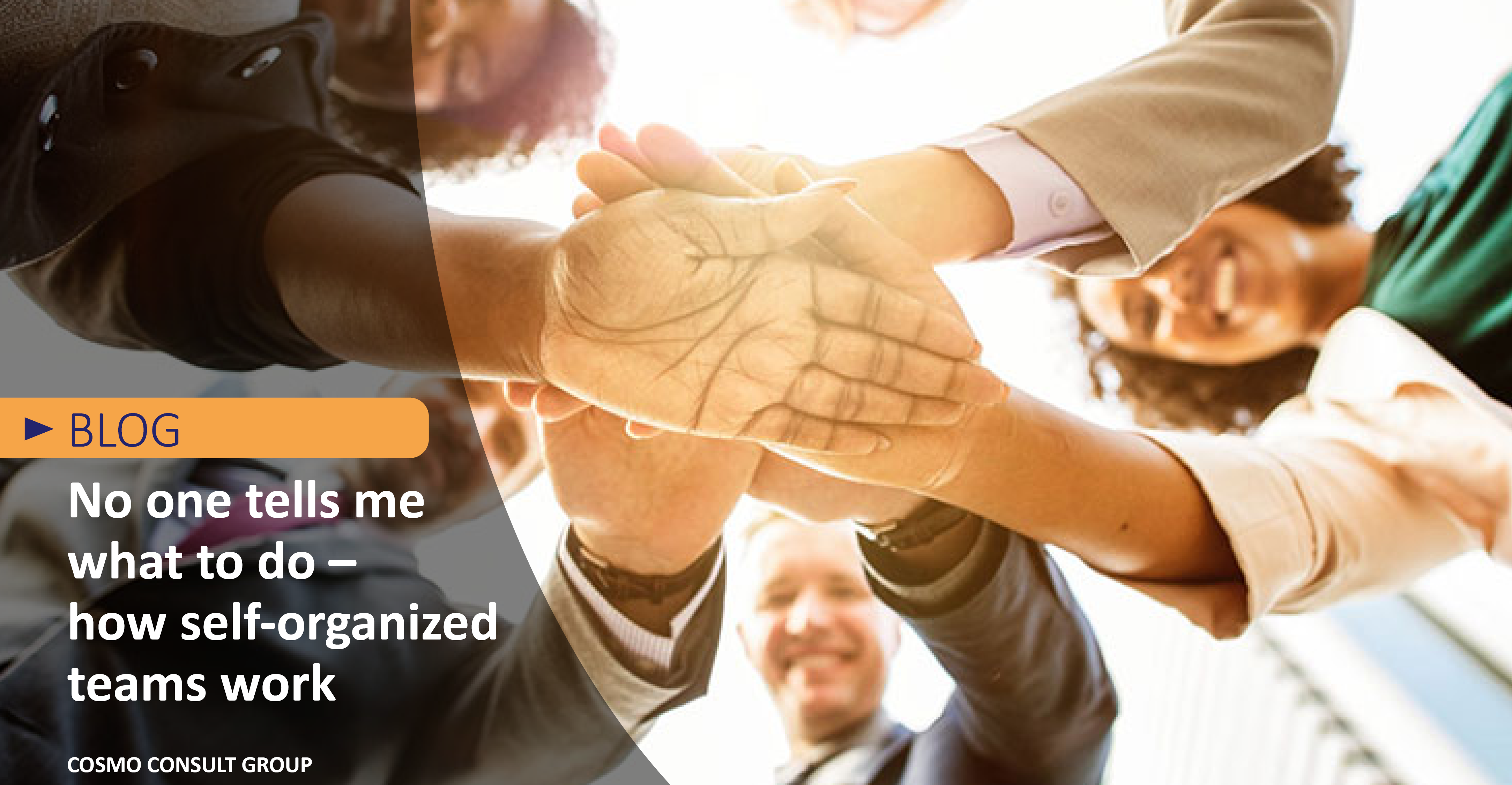 No one tells me what to do – how self-organized teams work | COSMO CONSULT